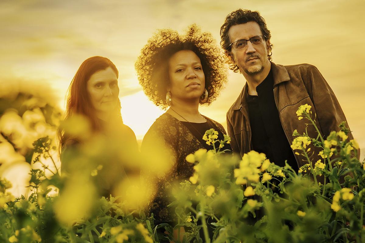 LOTUS FLOWERS TRIO + PAUL JARRET TILIA|Jazzdor